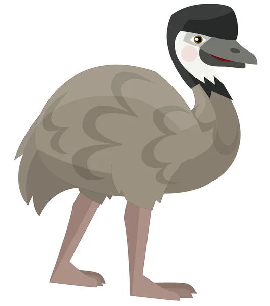 Cartoon emus Pictures, Cartoon emus Stock Photos & Images | Depositphotos®