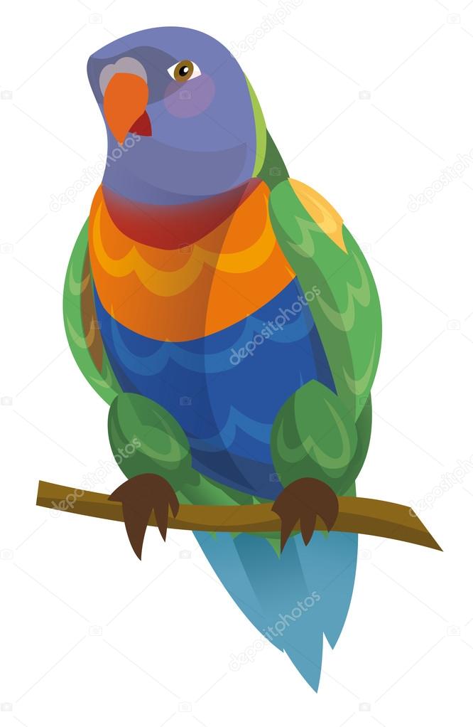 Cartoon parrot - rainbow lorikeet Stock Illustration by ©illustrator ...