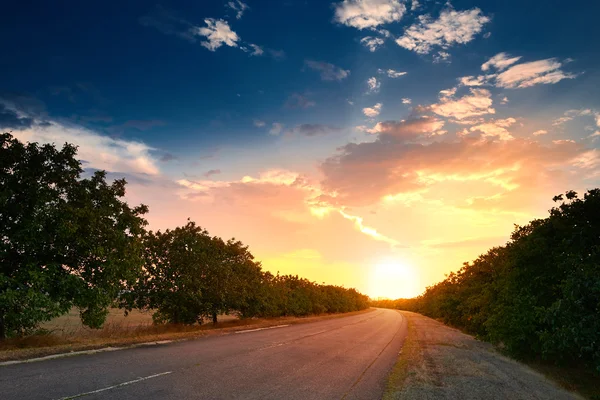 ᐈ Forest sunset stock pictures, Royalty Free road and sunset photos ...