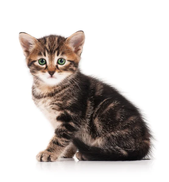 Self pity Stock Photos, Royalty Free Self pity Images | Depositphotos