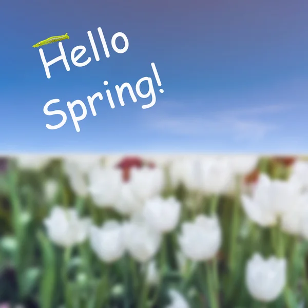 Welcome spring Stock Photos, Royalty Free Welcome spring Images ...