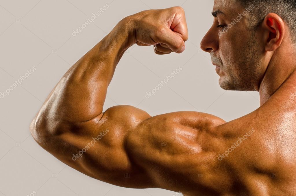 Close up on a bodybuilder biceps,shoulder,arm — Stock Photo ...