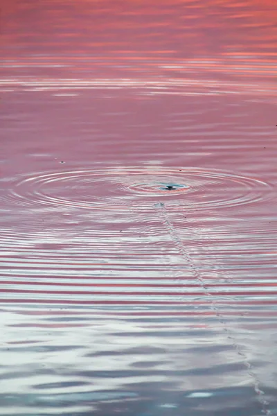 ᐈ Skipping rocks stock images, Royalty Free skipping rocks photos ...