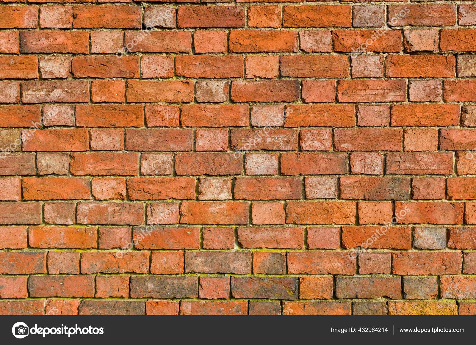 Brick Wall Texture Flemish Bond Brickwork Pattern Vintage Wall — Stock ...