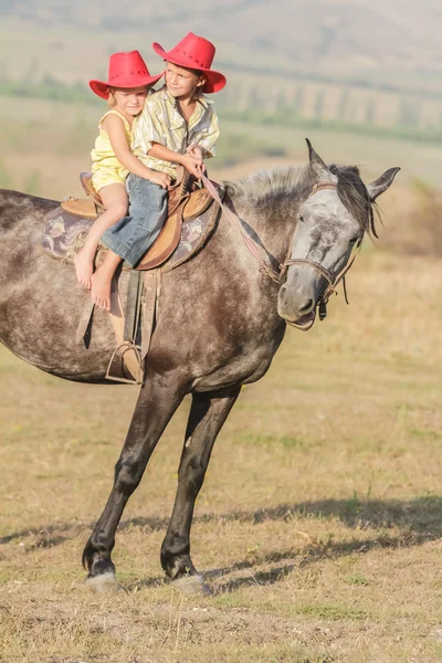 Two young happy kids riding a horse on farm, outdoor portrait on Stock ...