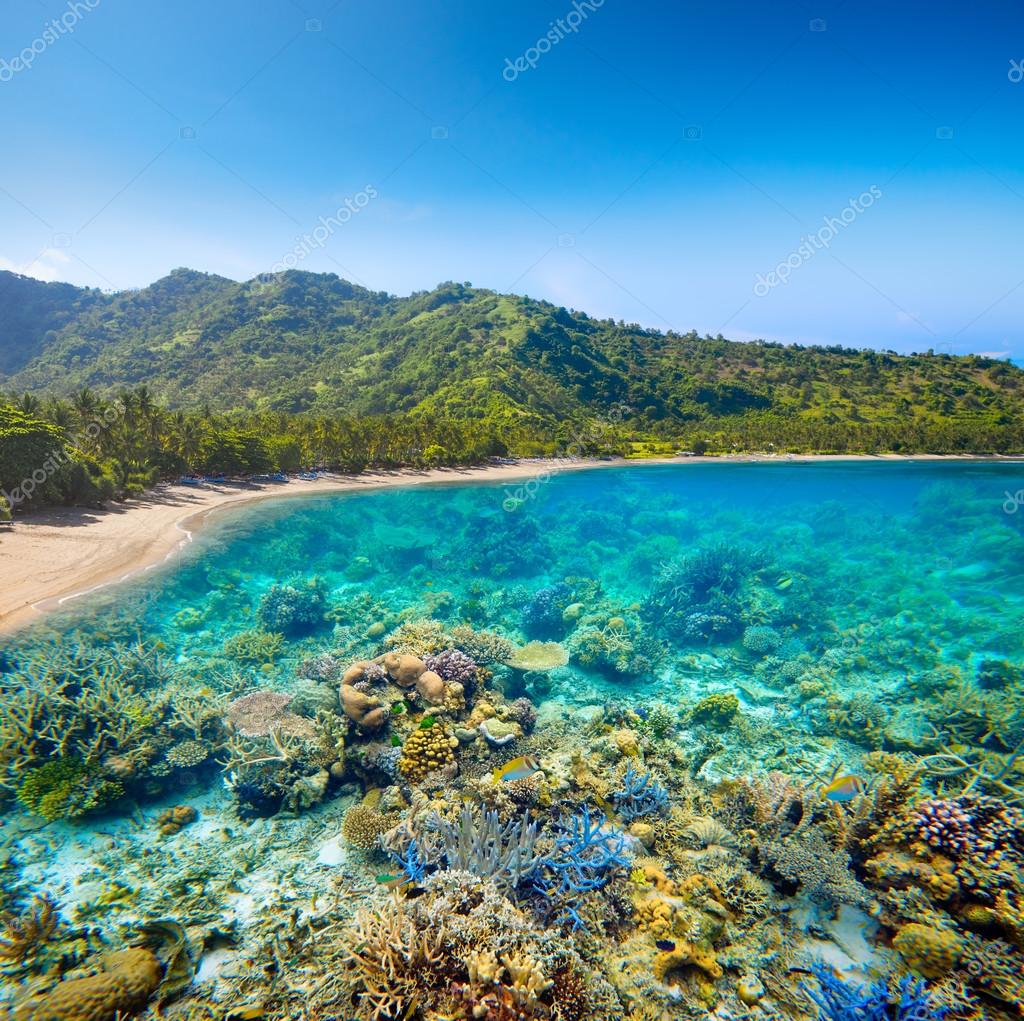 Costa tropicale su Lombok, Indonesia sotto e sopra l'acqua . - Foto Stock: Foto, Immagini © Soft ...