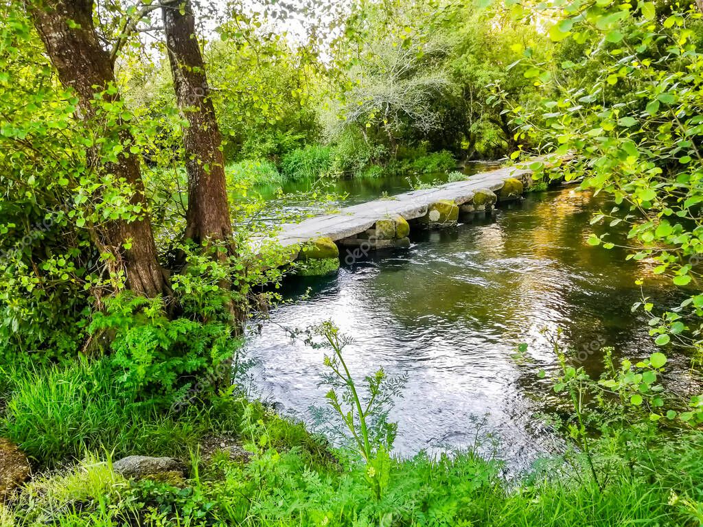 Puente peatonal sobre el río Umia entre la vegetación verde de la ...