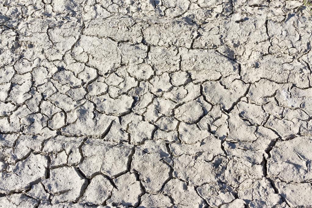 Grey Cracked mud background — Stock Photo © arousa #92799812