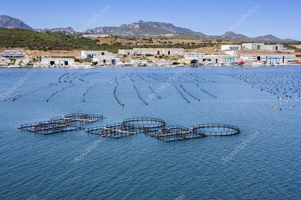 Fish and mussel farm Stock Photo by ©smuki 99370038