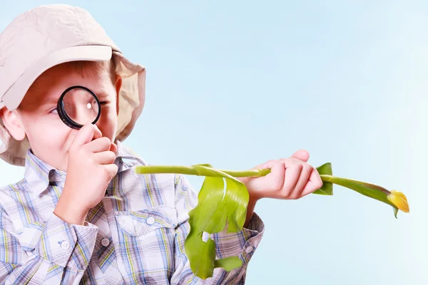Young boy hold flower and magnifying glass. Stock Photo by ©Voyagerix ...