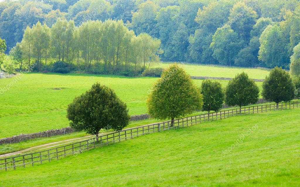 Countryside view of green field. Nature landscape Stock Photo by ...