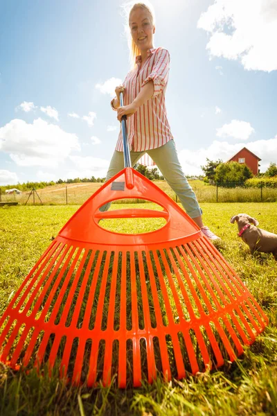 Unusual angle of woman raking leaves using rake. Person taking care of ...