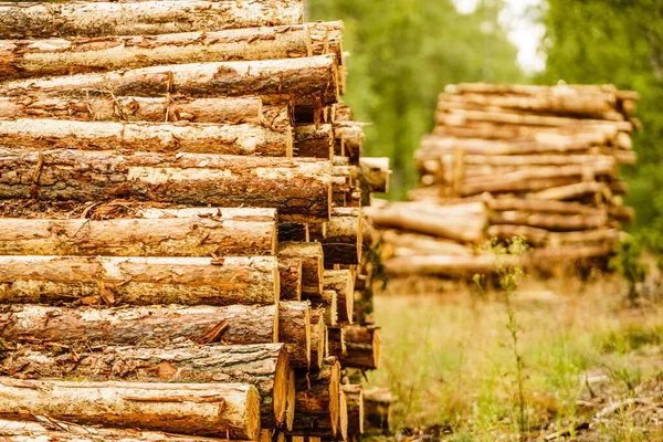 About logging Stock Photos, Royalty Free About logging Images ...