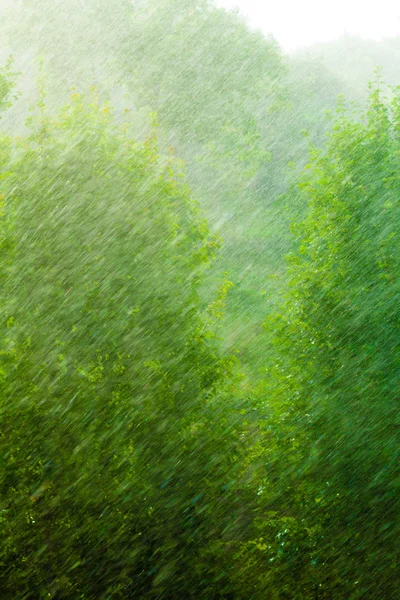 Pelting rain Stock Photos, Royalty Free Pelting rain Images | Depositphotos