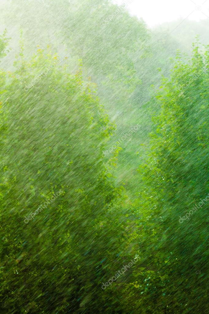 Window Outside Wallpaper