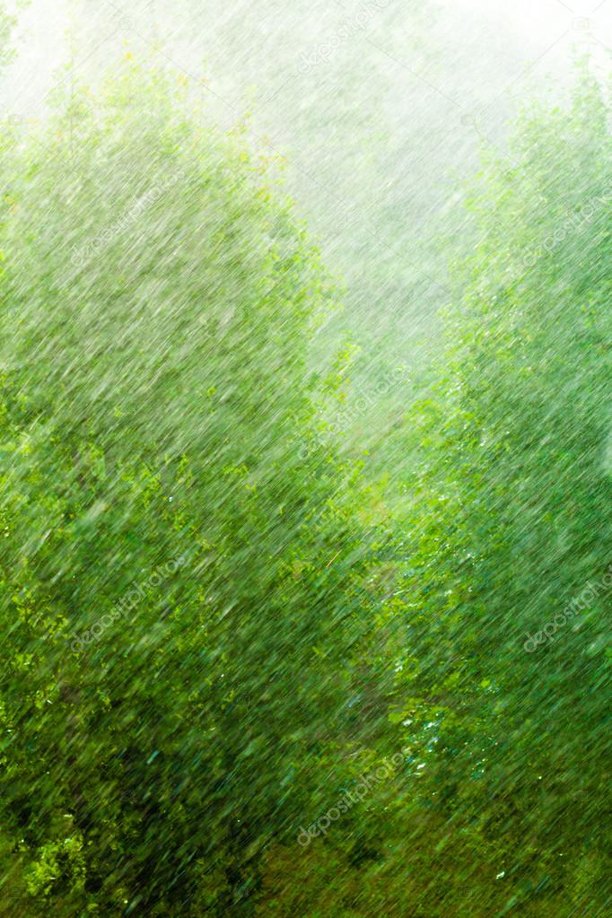Rainy outside window green background texture. Stock Photo by ...
