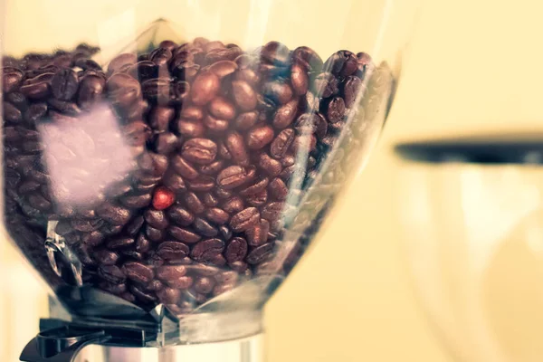 Separation of coffee beans fotos de stock, imágenes de Separation of ...