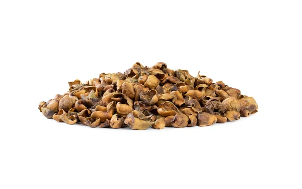 Gundha seco indio también conocido como Lisodha, Lasora, Lasoda, Lisoda ...