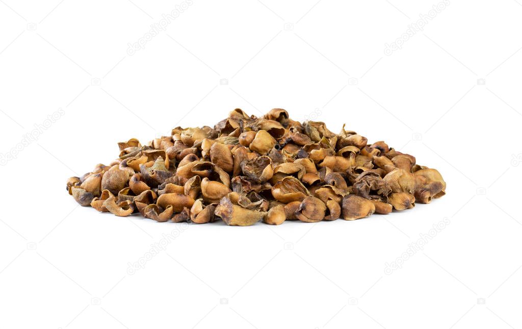 Gundha seco indio también conocido como Lisodha, Lasora, Lasoda, Lisoda ...