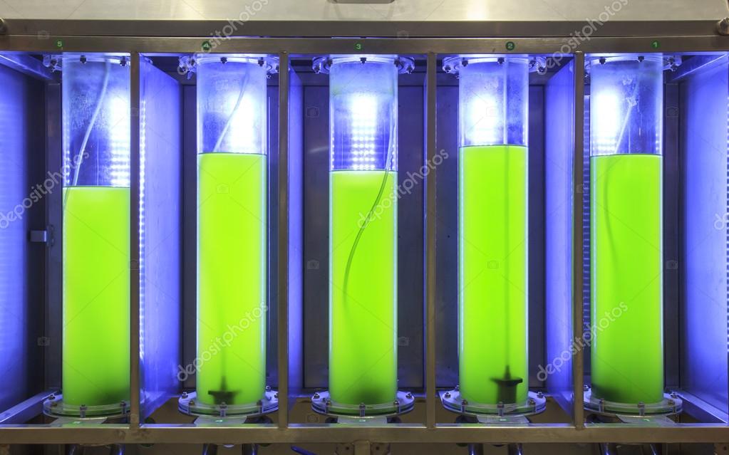 Fotobiorreactor en laboratorio algas combustible biocombustible ... Fotobiorreactor en laboratorio algas combustible biocombustible ...