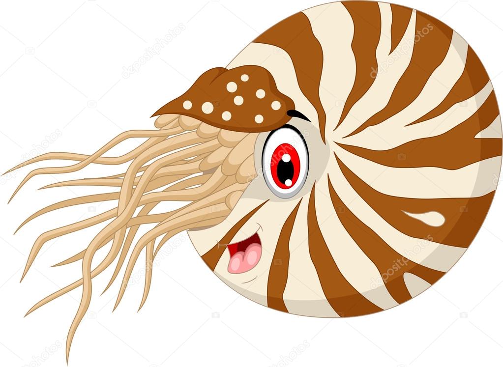Nautilus Cartoon for you design Stock Vector by ©starlight789 114928596