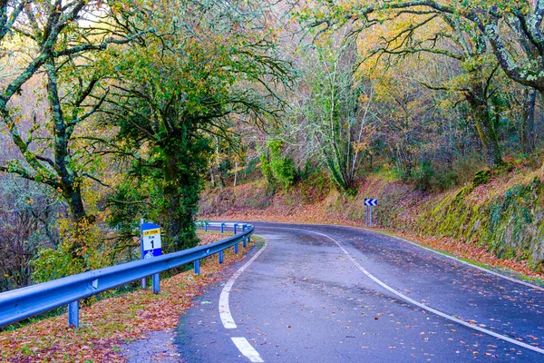 Lonely road with curves and wet from the rain in the interior of ...