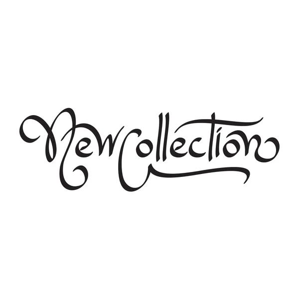 Vector hand lettering inscription welcome — Stock Vector © milyana ...