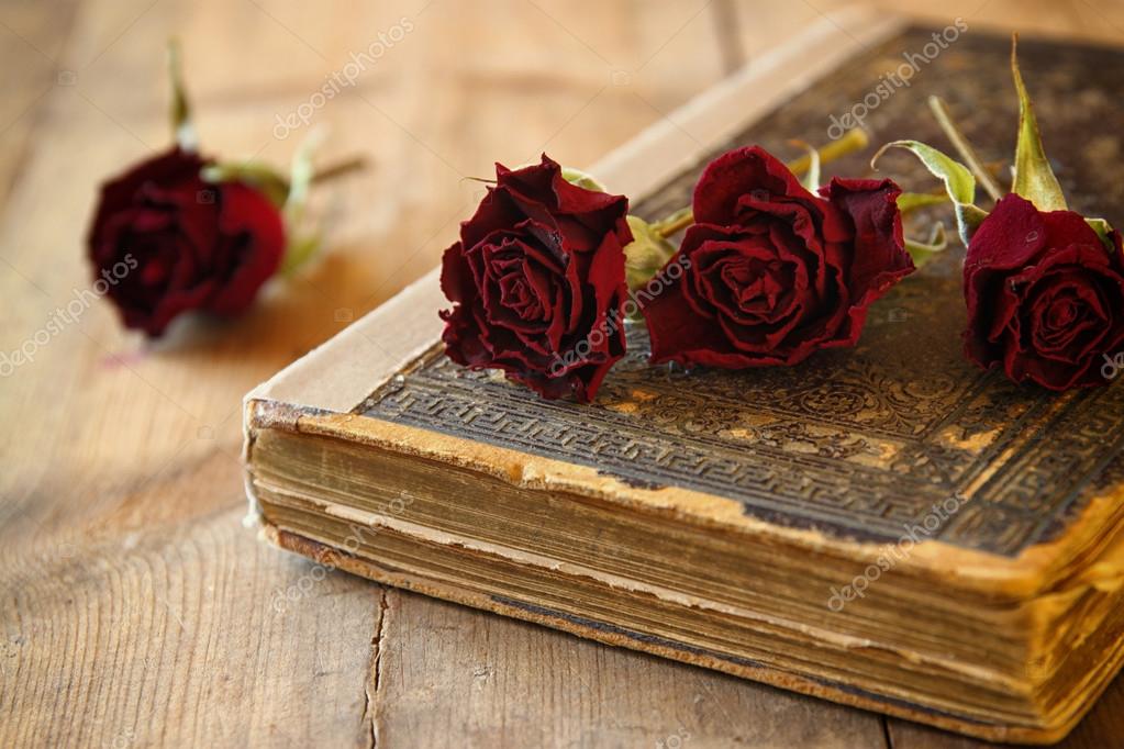 Books And Roses