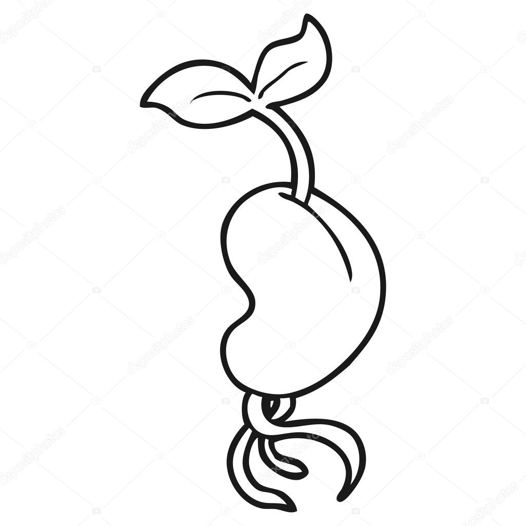 Seed Sprout Coloring Pages