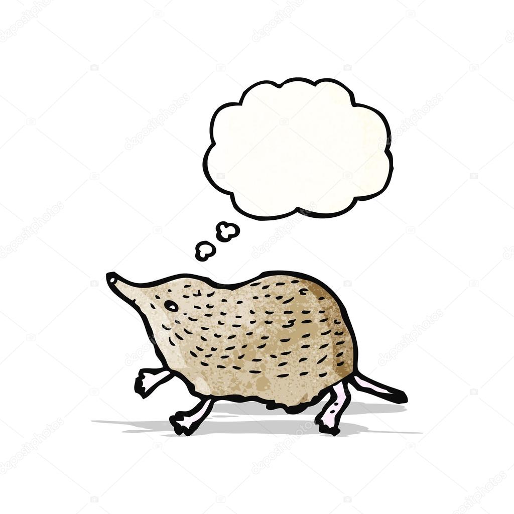 Cartoon shrew Stock Vector by ©lineartestpilot 61145425