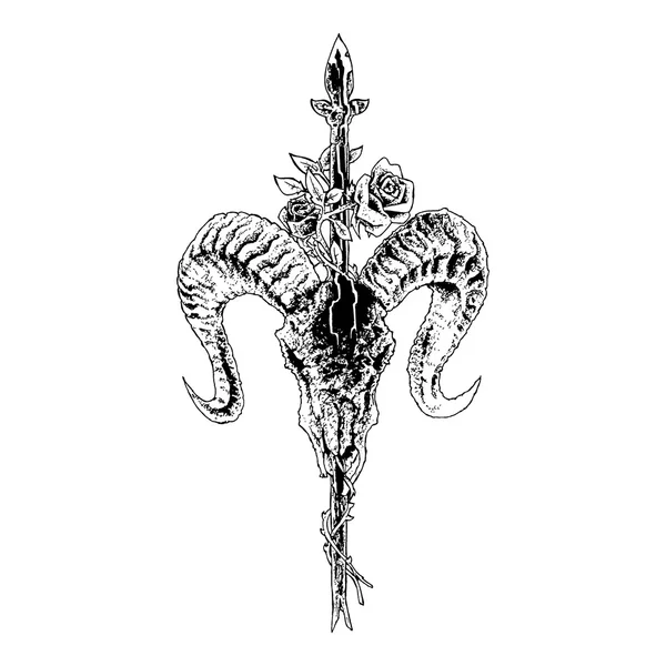 Ram Skull Line Drawing