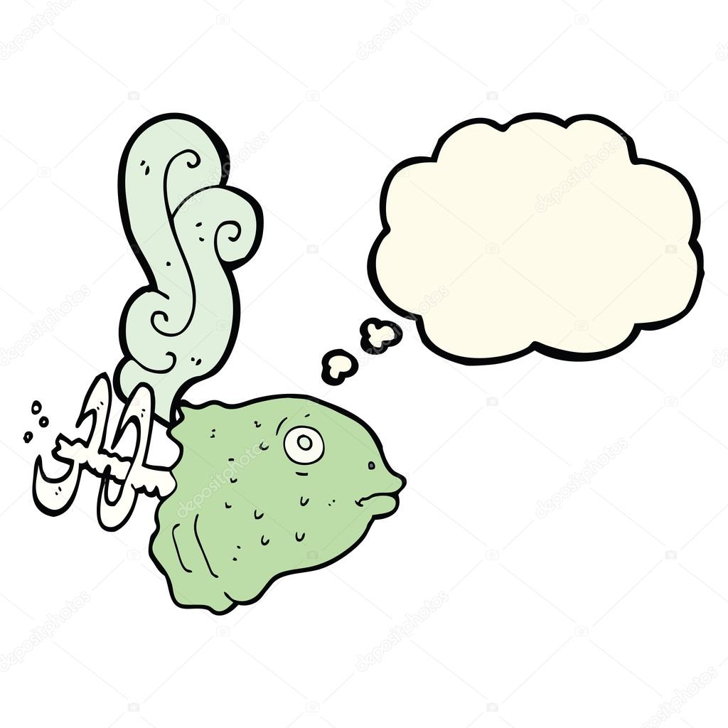 Cartoon smelly old fish head with thought bubble Stock Vector Image by ...