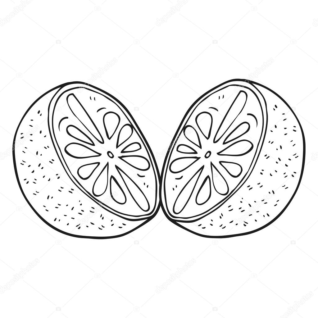 Calamansi Clipart Black And White