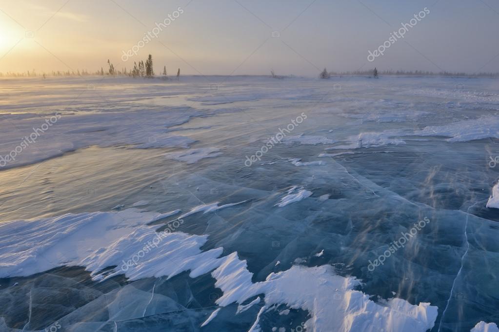 Frozen lake with boreal forest (taiga) and tundra Stock Photo by ...