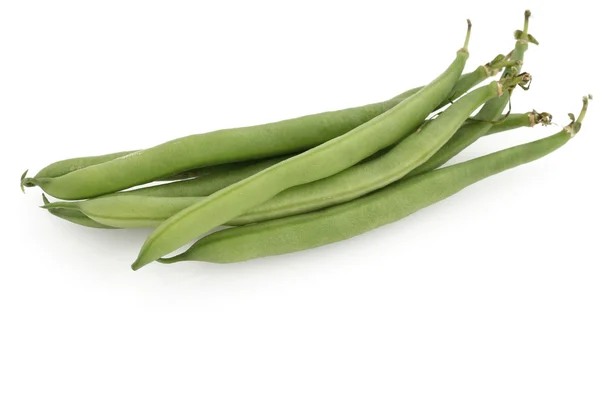 Bush beans Stock Photos, Royalty Free Bush beans Images | Depositphotos