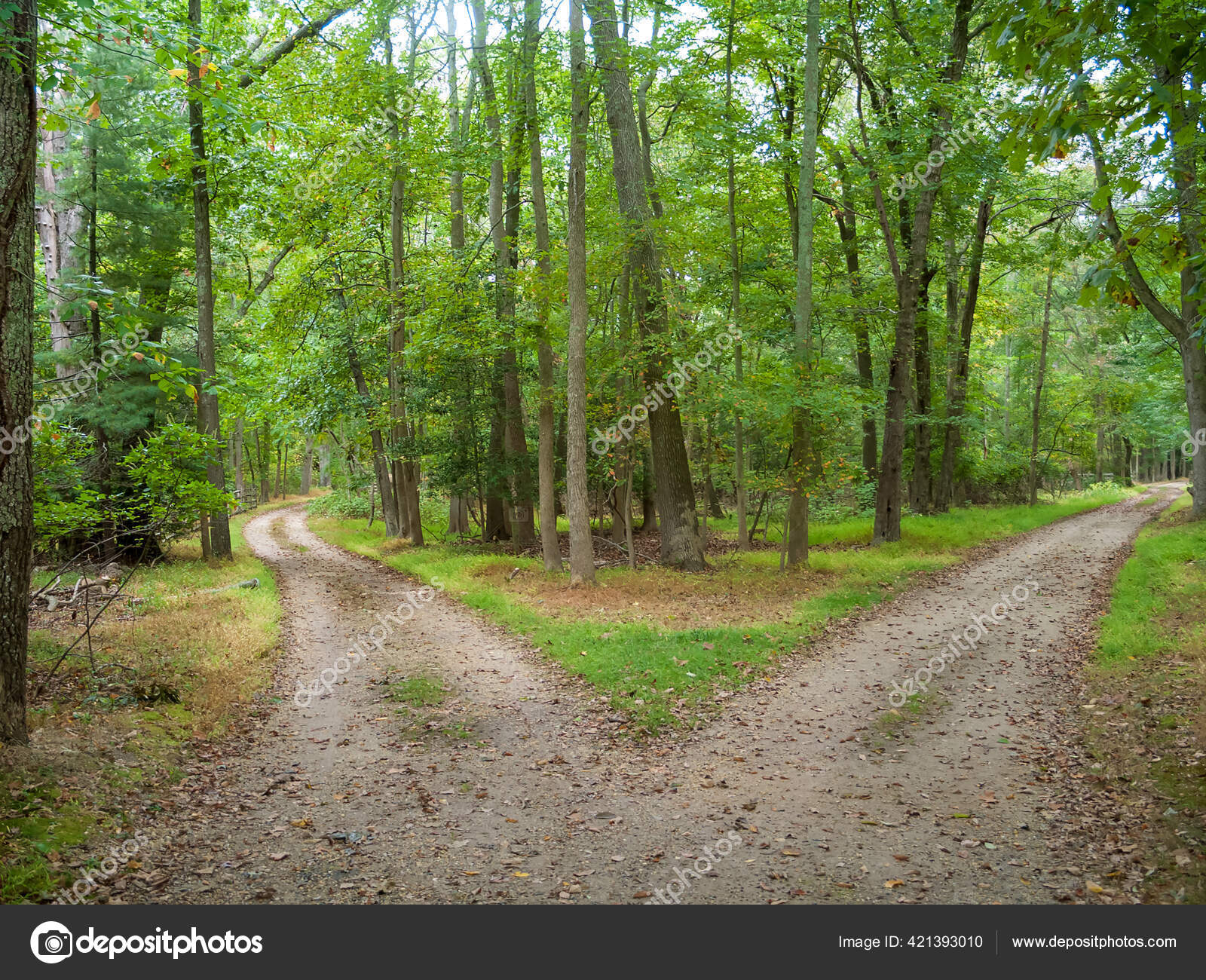 Two Paths Merge One Monmouth County New Jersey Landscape — Stock Photo ...
