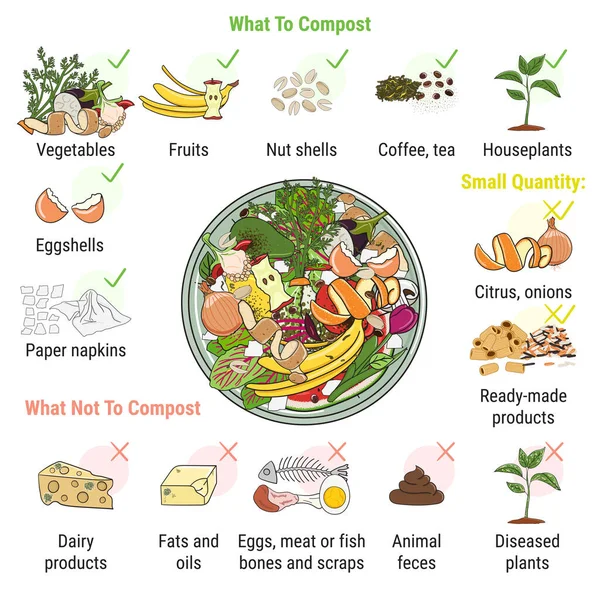 104 ilustraciones de stock de Compost infografia | Depositphotos