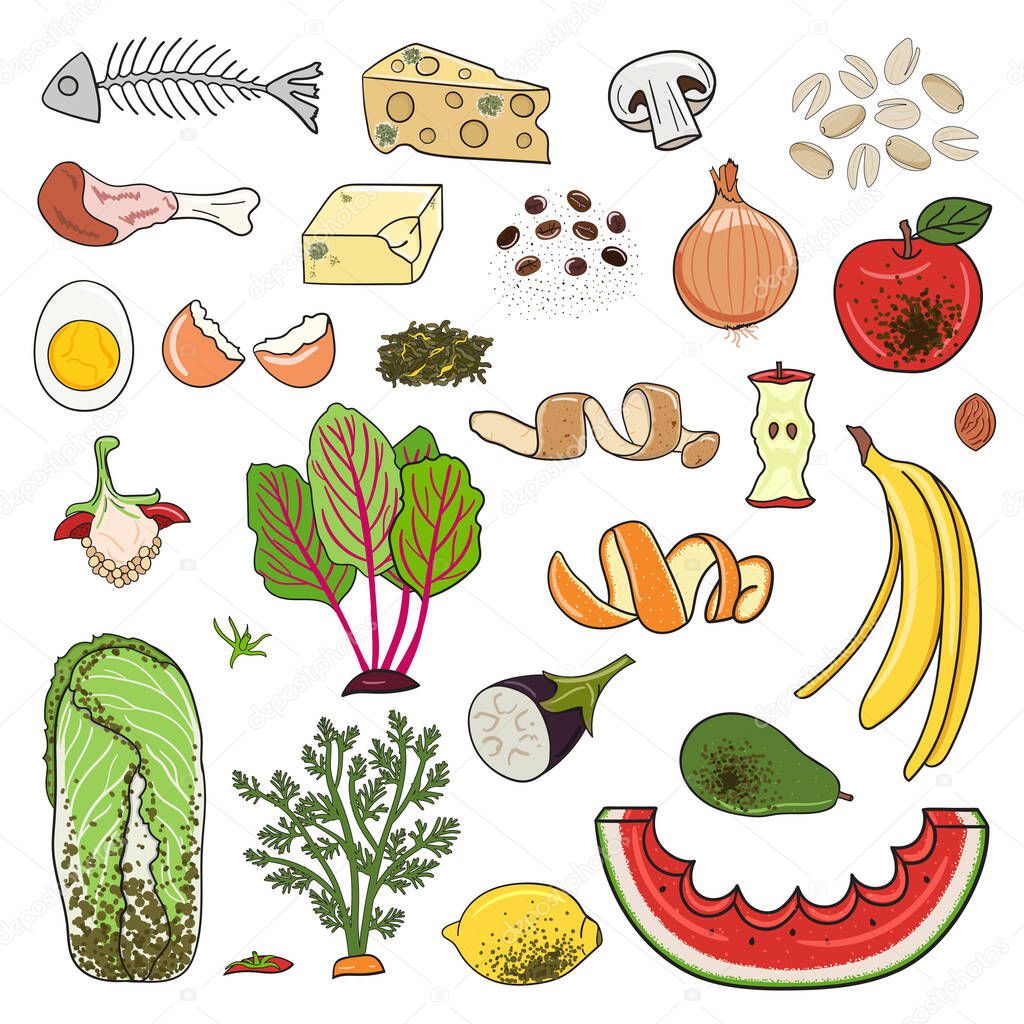 Conjunto de residuos orgánicos frutas, cáscara de huevo, verduras ...