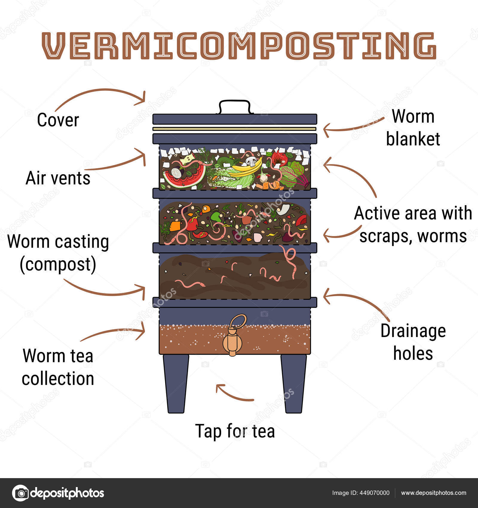 Infográfico Vermicompostagem Componentes Vermicomposter Projeto ...