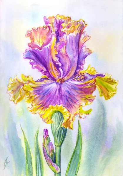 13,511,028 ilustraciones de stock de Pintado a mano | Depositphotos