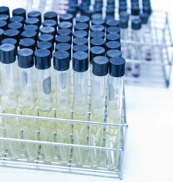 Laboratory test tubes — Stock Photo © igabriela #7911581