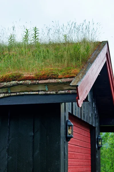 Roof of turf Stock Photos, Royalty Free Roof of turf Images | Depositphotos