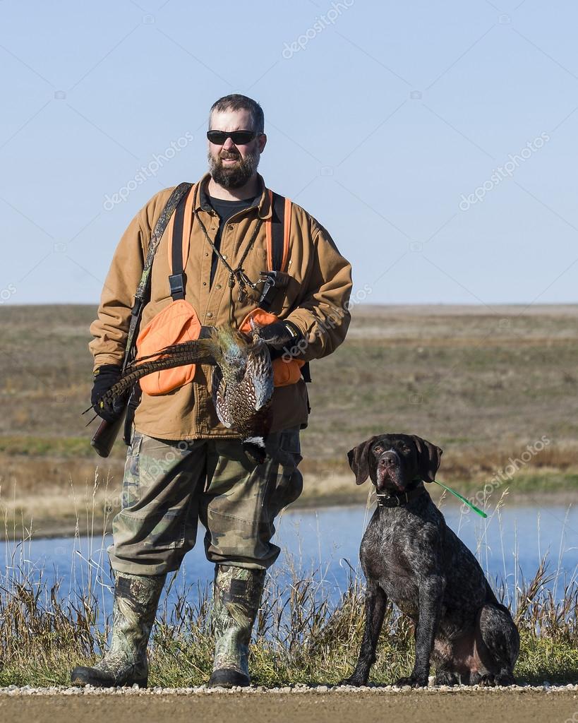 Chien De Chasse Aux Oiseaux Pratiques Et Modes De Chasses Dans Le