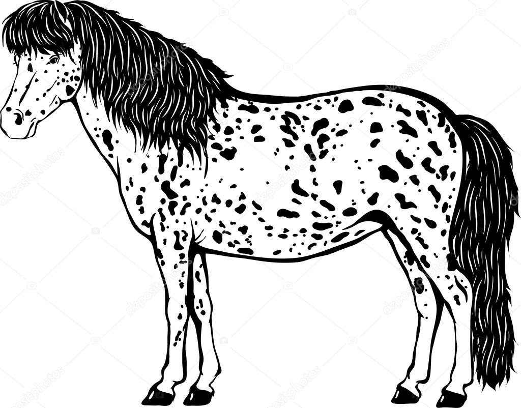 Sidepull Pony Coloring Pages