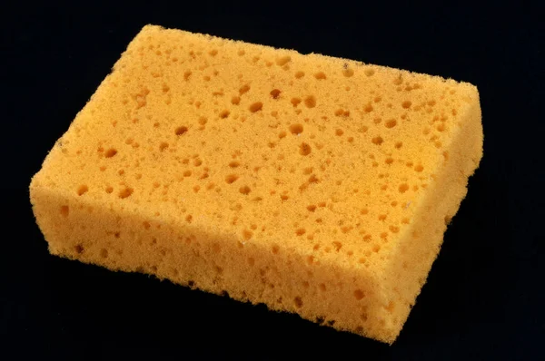 Laboratory sponge Stock Photos, Royalty Free Laboratory sponge Images ...