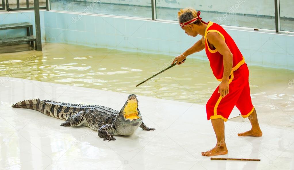 Show of crocodiles, Thailand — Stock Editorial Photo © vitmarkov #62260275