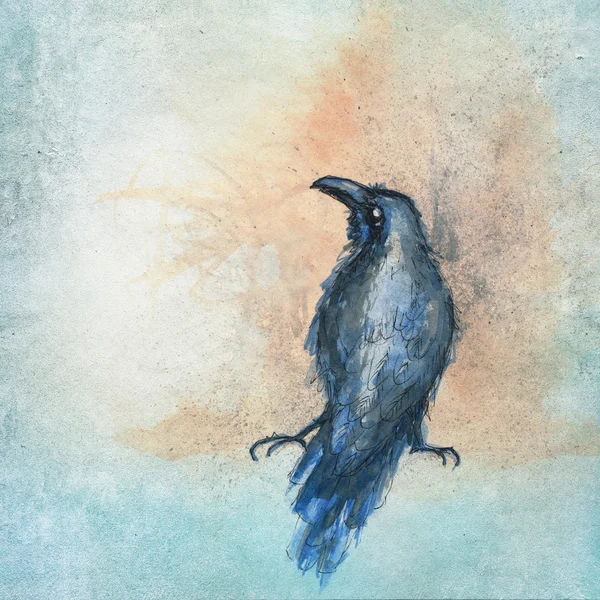 Handpainted raven feather — Stock Photo © piolka #69731393