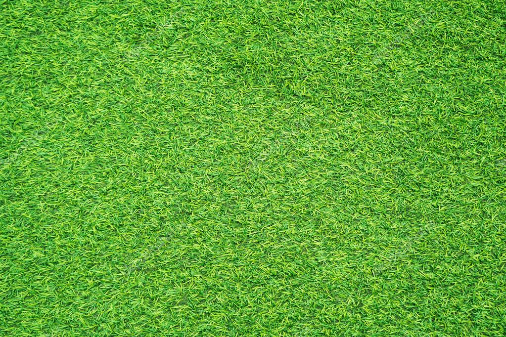 Tekstur rumput hijau — Foto Stok © antpkr #119984080