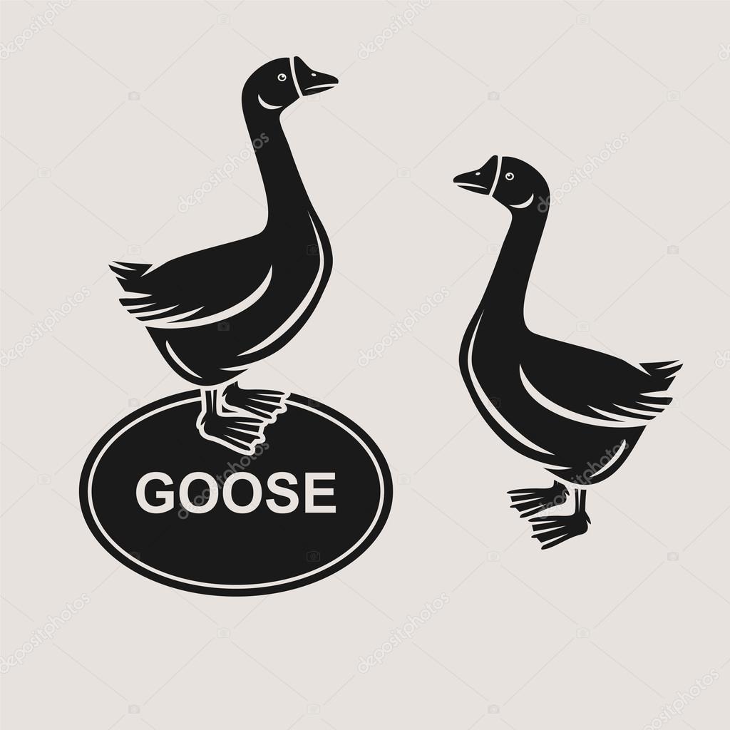 Goose set. Vector Stock Vector by ©Vasilev_Ki 107570410