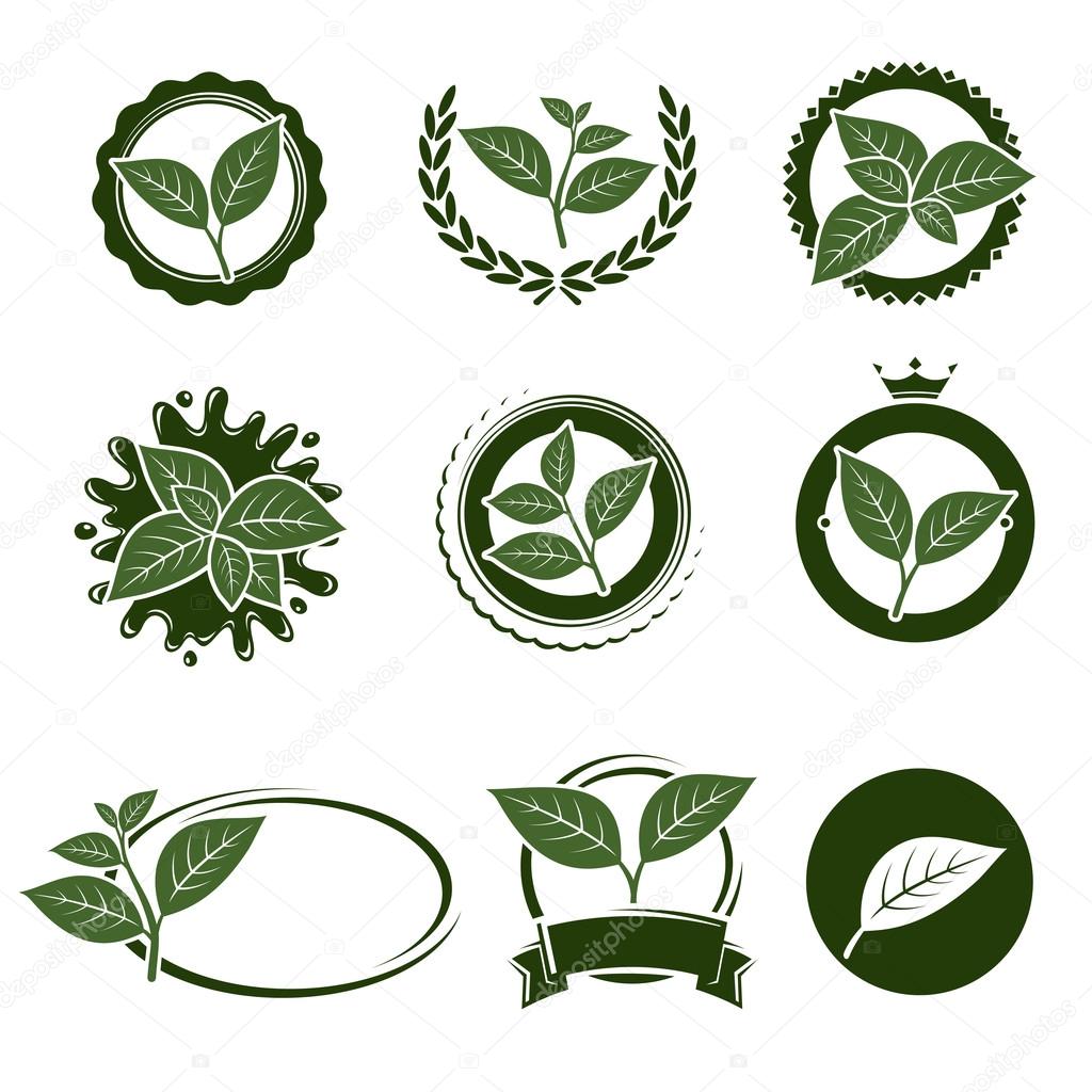 Tea leaves label set. Vector Stock Vector Image by ©Vasilev_Ki #82596912